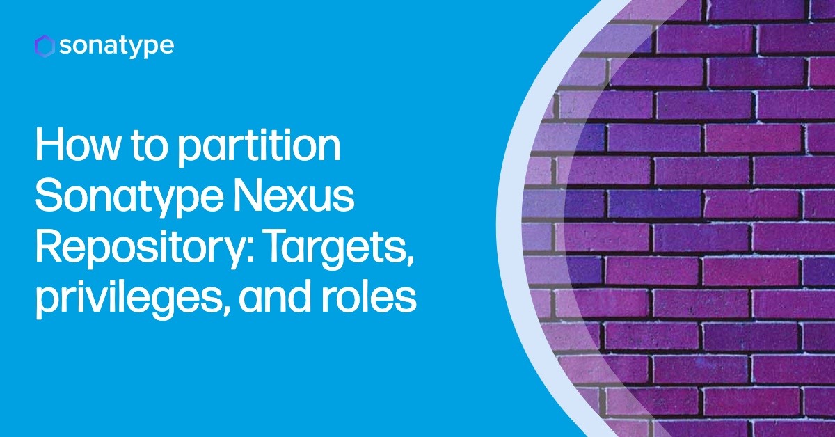 How to Partition Sonatype Nexus Repository